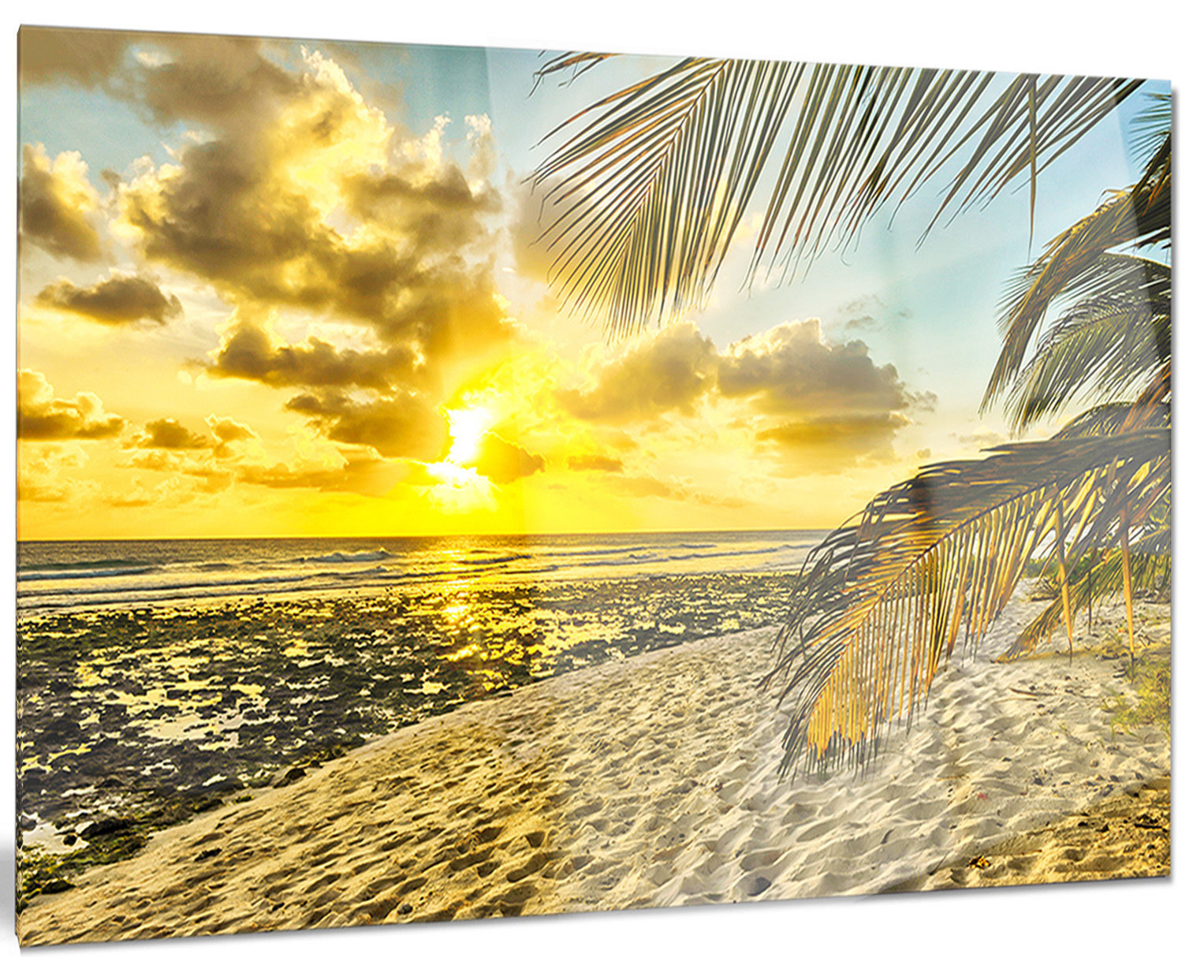 "White Caribbean Beach With Palms" Metal Wall Art, 40"x30" - Tropical ...