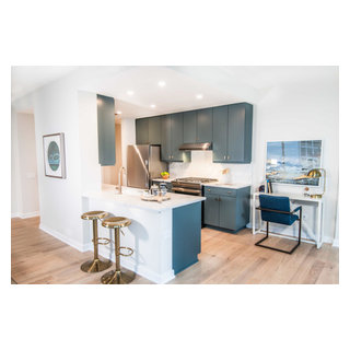 Pearson Condo Remodel - Modern - Kitchen - Chicago - by Arete ...