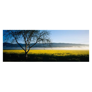 Fog Over Crops in a Field Napa Valley Panoramic Fabric Wall Mural, 54 ...