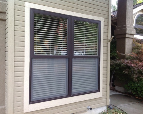 Dark Bronze Window | Houzz