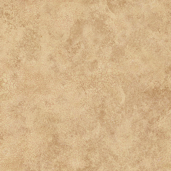 Stone Crackle Pattern Wallpaper, 1 Bolt - Traditional - Wallpaper - by ...