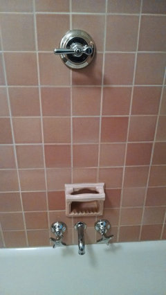 Leaky Chrome Speakman Mixometer Shower Fixture | Houzz Forum