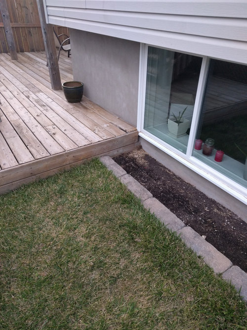 How to landscape in front of basement windows?