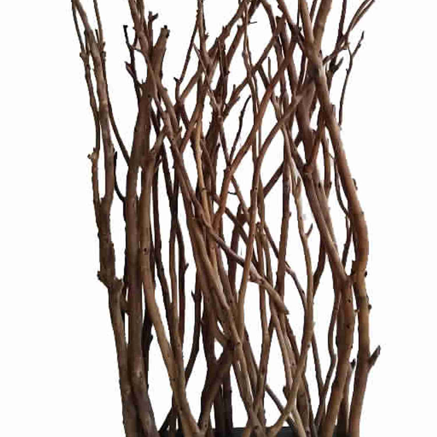 Contemporary Single Panel Wooden Screen with Art Branch Design, Brown ...