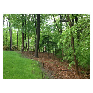 Cedar Stage Treehouse - Modern - Boston - by User | Houzz