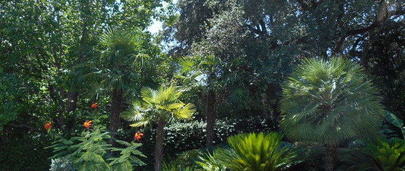 SANDRA NASH LANDSCAPE ARCHITECTURE - Project Photos & Reviews ...