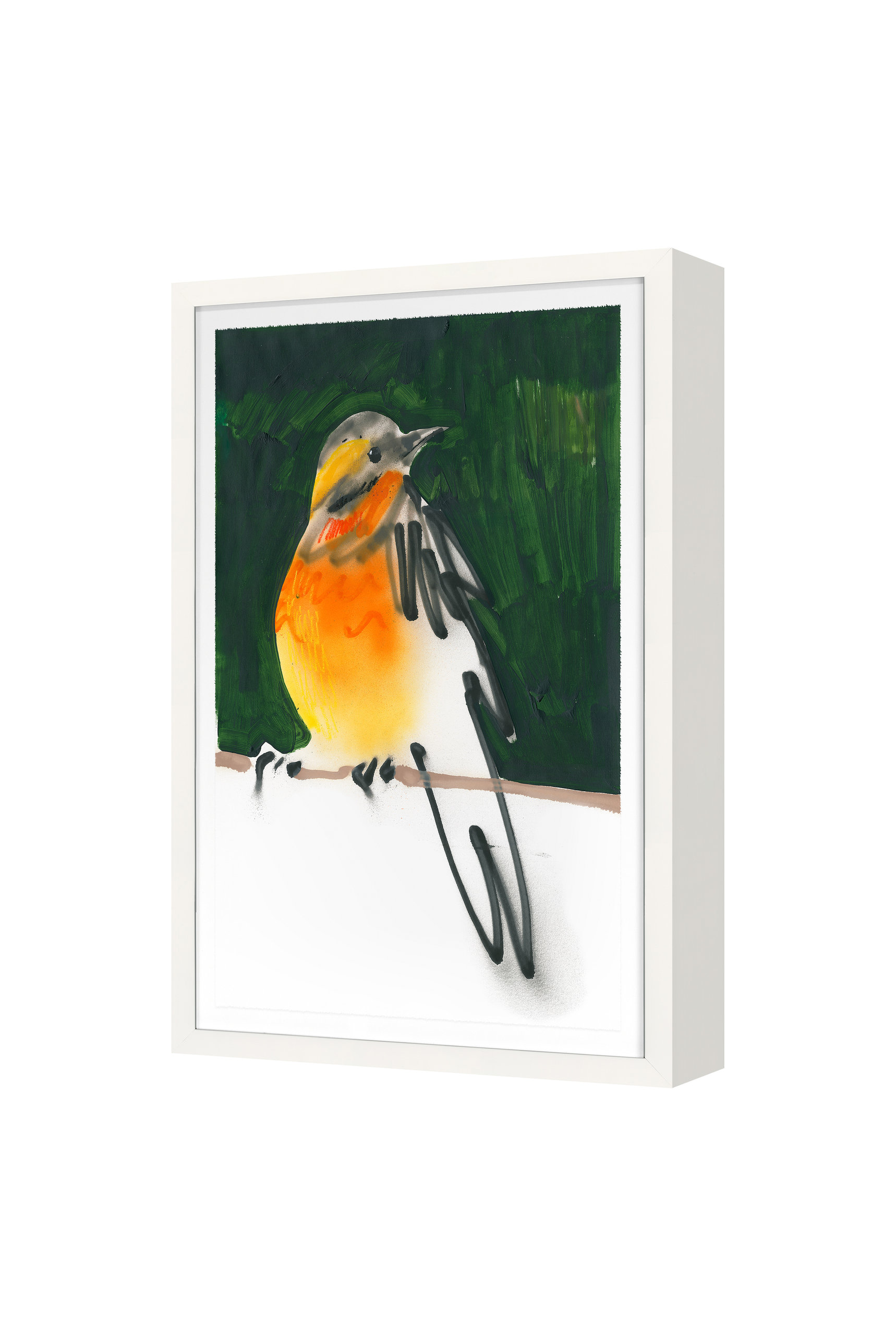 American Robin Fine Art Print, 45"x30" - Contemporary - Fine Art Prints ...