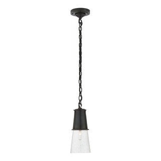 Robinson Pendant, 1-Light, Bronze, Seeded Glass, 4.75"W (TOB 5751BZ-SG ...
