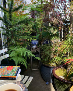 16 Ways to Create the Perfect Pocket-sized Balcony Garden | Houzz UK