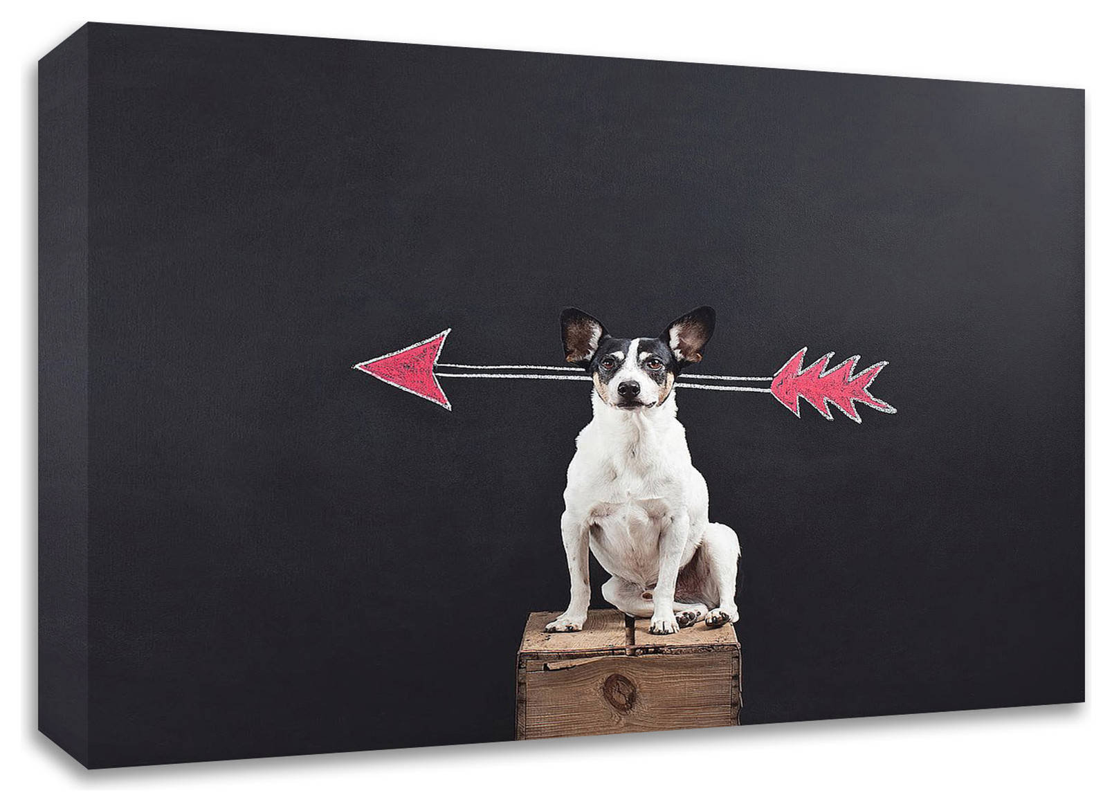 Prankster by Susan Sabo, Print on Canvas, Ready to Hang - Contemporary ...