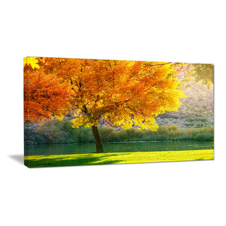 Beautiful Autumn Season in Forest, Extra Large Landscape Canvas Art, 32 ...