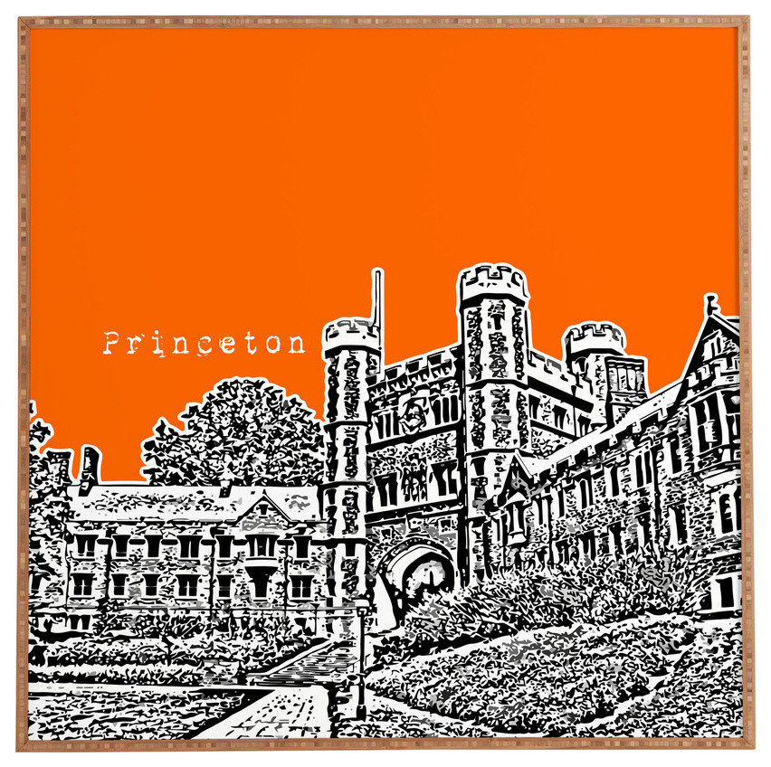 Deny Designs Bird Ave Princeton University Orange Framed Wall Art ...