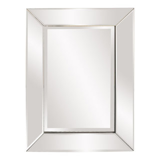 HomeRoots Rectangle Frame Mirror With Mirrored Finish And Beveled Edge ...