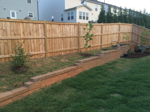 Ideas for Privacy - Between Fence and Retaining Wall