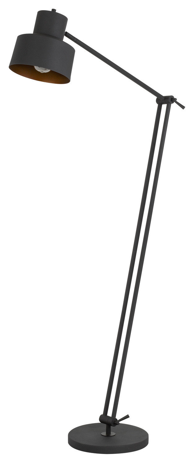 Davidson One Light Floor Lamp, Matte Black - Transitional - Floor Lamps ...