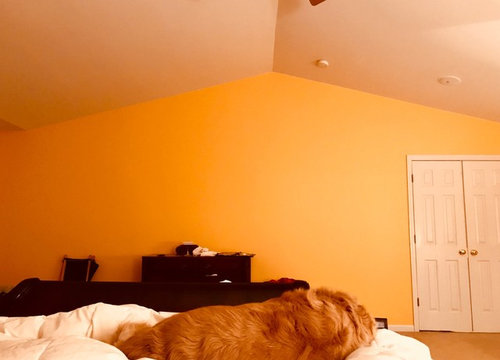 Ugliest bedroom in the world