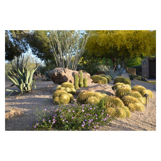 The Boulders 2 - American Southwest - Garden - Phoenix - by Pascale ...