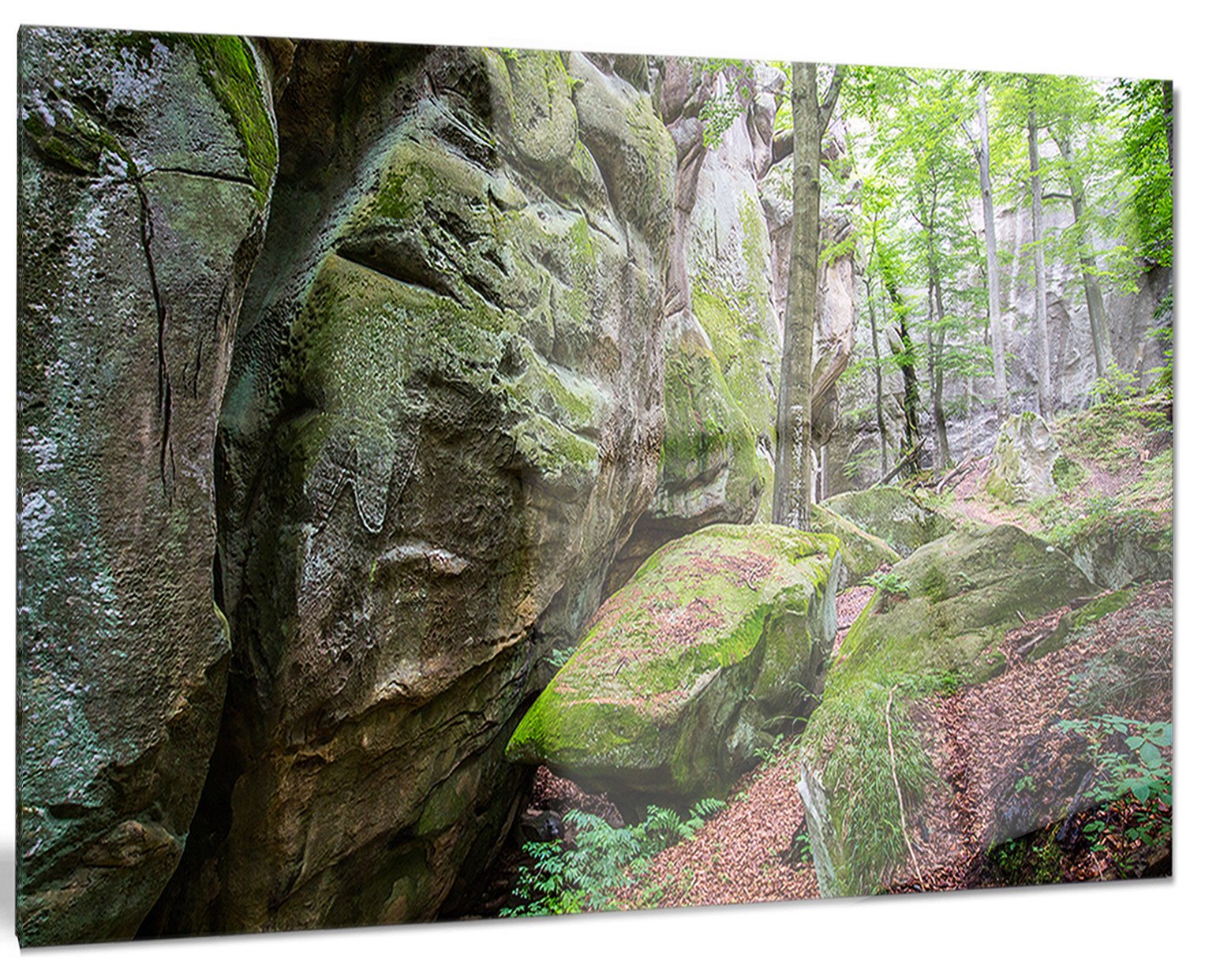 "Wild Deep Moss Forest Ukraine" Metal Wall Art, 28"x12" - Rustic ...