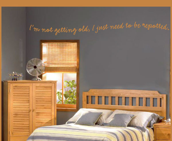 I'm Not Getting Old Vinyl Wall Decal Agequotes05, 42 in. - Contemporary ...