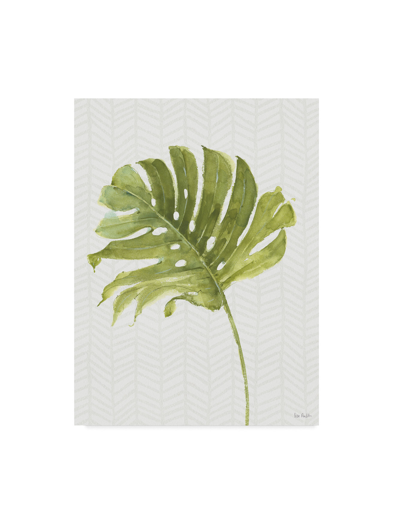 Lisa Audit 'Mixed Greens Lxxvii' Canvas Art, 24"x32" - Tropical ...