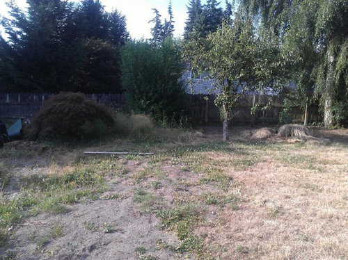 Need design ideas for my backyard(5000 sq.ft) - Seattle area | Houzz Forum