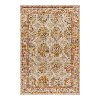 Mona lisa MNI-2302 Rug, 2'7" x 4' - Contemporary - Area Rugs - by Surya ...