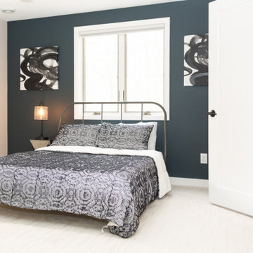 Split Level Home Basement Ideas - Photos & Ideas | Houzz