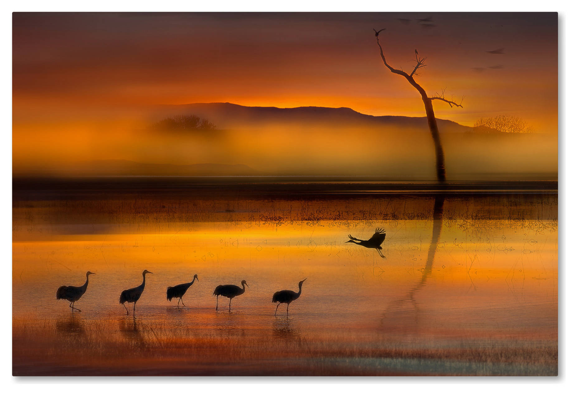 Shenshen Dou 'We Are Here Waiting For You' Canvas Art, 16x24 - Contemporary - Prints And Posters ...