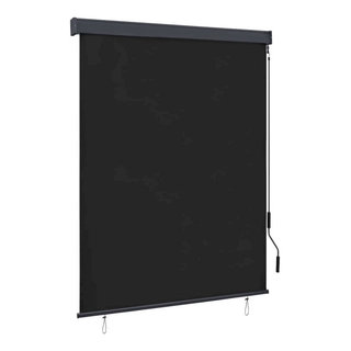 vidaXL Outdoor Roller Blind 55.1x98.4 Anthracite, 145970 - Transitional ...