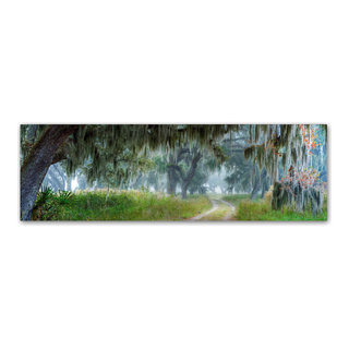 Doug Cavanah 'Memory Lane' Canvas Art, 16"x47" - Contemporary - Prints ...