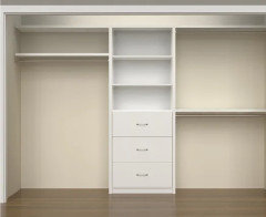 Built-In vs. Drywall Closets? | Houzz Forum
