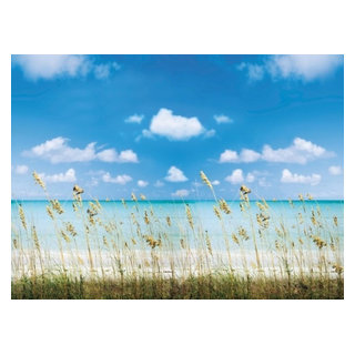 Oceanside Wall Mural DS8058 - Beach Style - Wall Decals - by The Home ...