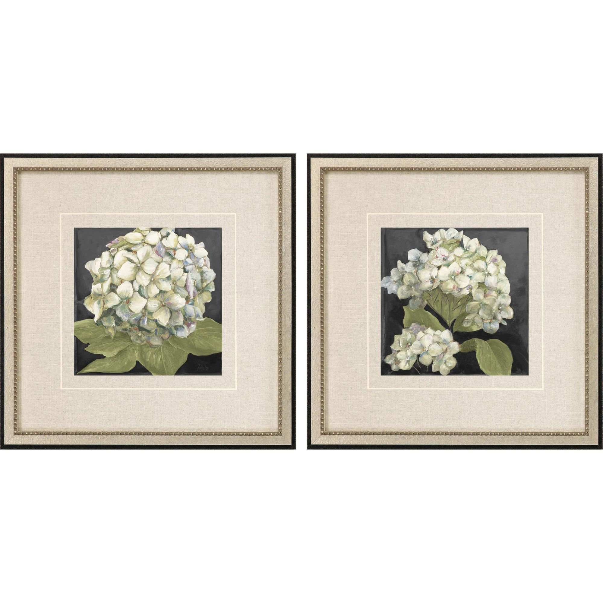 Hydrangeas on Black S/2 - Traditional - Prints And Posters - by Paragon ...