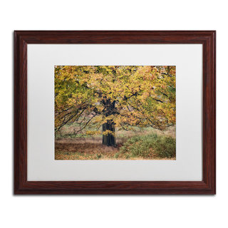 Cora Niele 'Beech Tree' Matted Framed Art, 20 x 16 - Contemporary - Prints And Posters - by ...