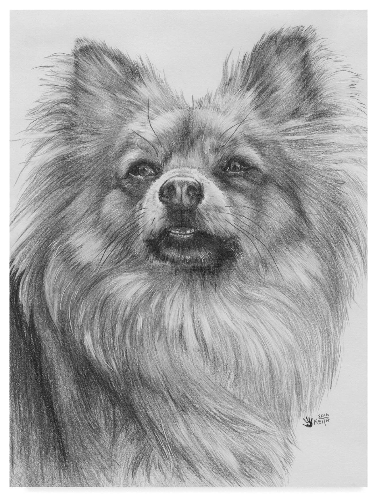 "Tickled" by Barbara Keith, Canvas Art, 32"x24" - Contemporary - Prints ...