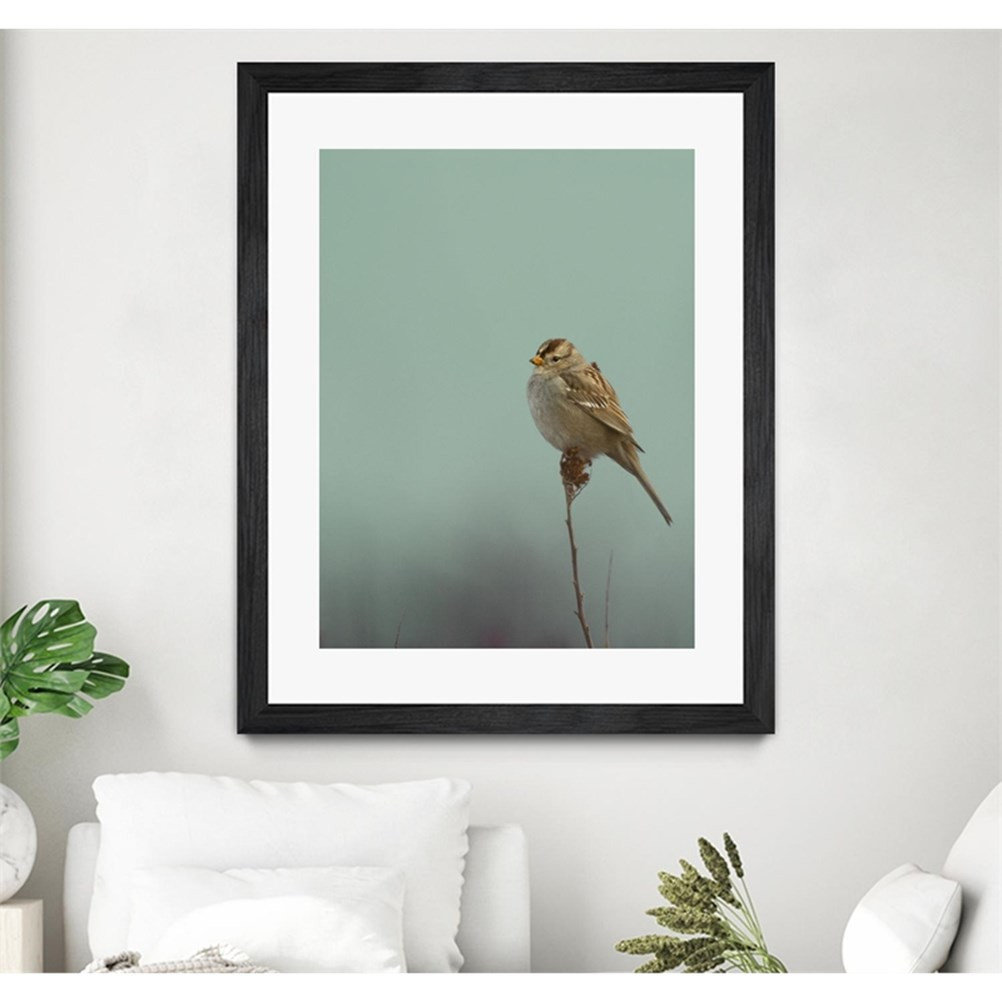 Giant Art 30x40 Perch Matted and Framed in Multi-Color - Contemporary ...