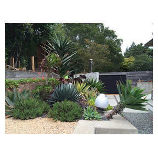 Kensington Succulent Paradise Contemporary Landscape San