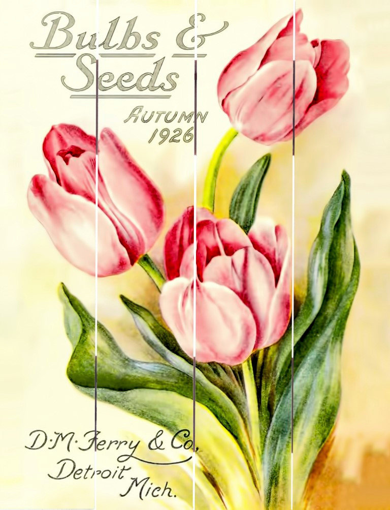 D. M. Ferry & Co. Autumn 1926 Pallet Art - Contemporary - Prints And ...