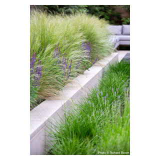 Modern Garden, Hampstead - Contemporary - Landscape - Hertfordshire ...