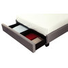 Modus Geneva Queen Adona Storage Bed, Dolphin, Queen - Transitional ...