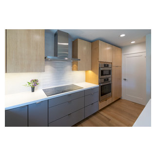 Streamline Kitchen - Asian - Kitchen - San Francisco - by Silva Custom ...