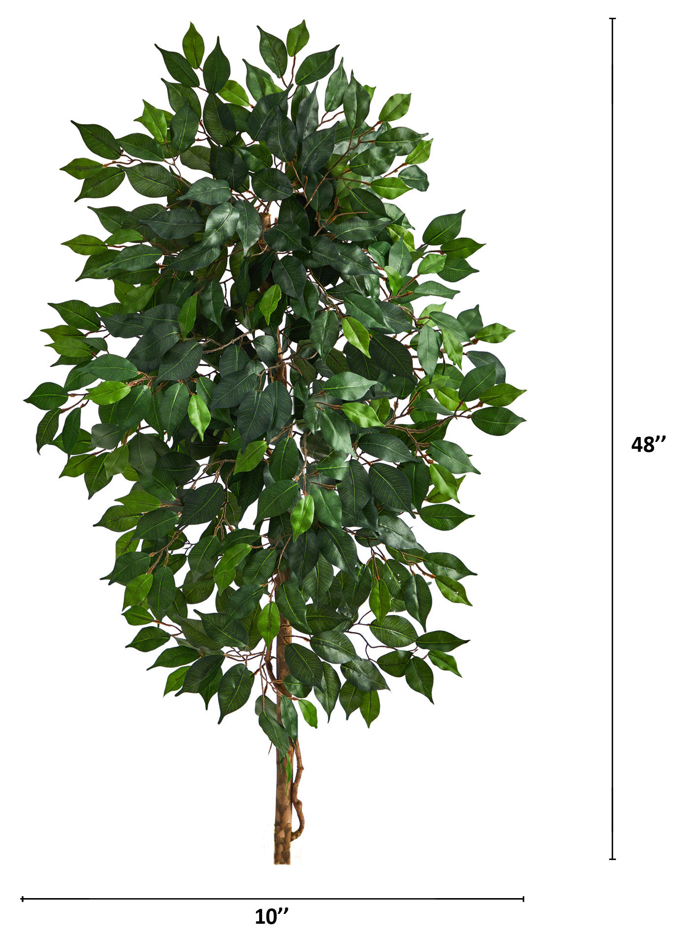 4' Single Ficus Artificial Tree, No Pot - Modern - Artificial Plants ...
