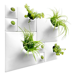 Modern Wall Planter Set, Node Living Wall, Ceramic, BS2 - Contemporary ...