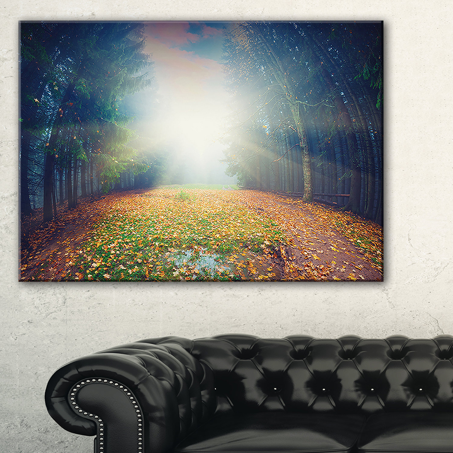 "Rising Sun Over Arched Forest" Landscape Photo Wall Art, 40"x20 ...
