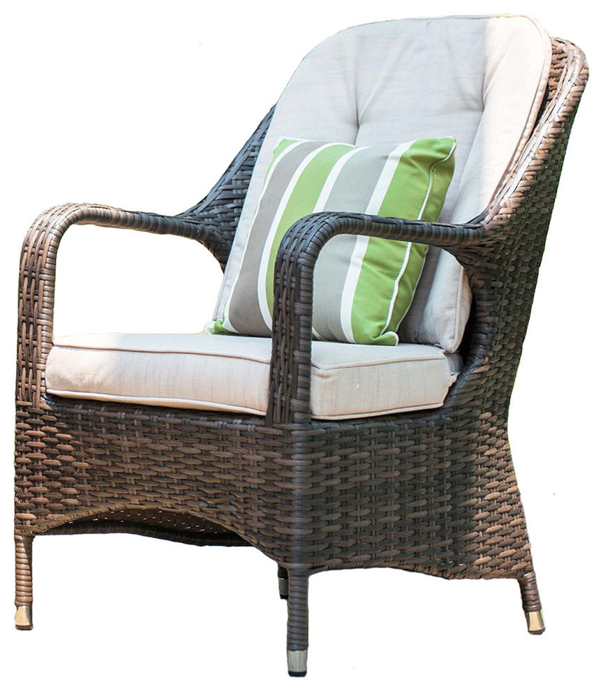 Liberatore Brown Wicker Dining Chairs With Beige Cushions, Set of 2 ...