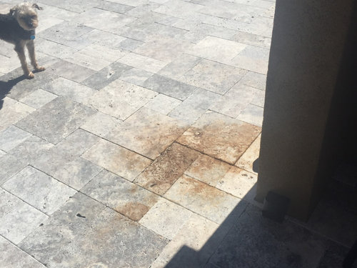 Need help with Stain Travertine | Houzz Forum