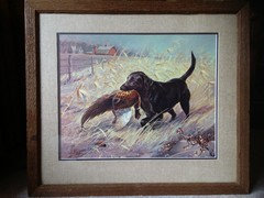 Kouba print - any value?