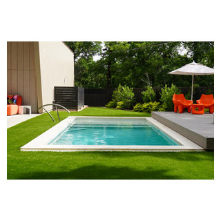 Great Oaks Tiny Pool - Modern - Pool - Austin - by Texas Tiny Pools | Houzz