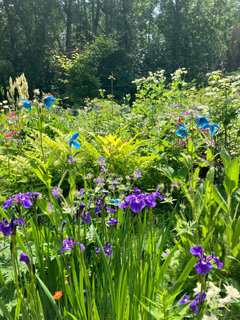 Random Garden Photos