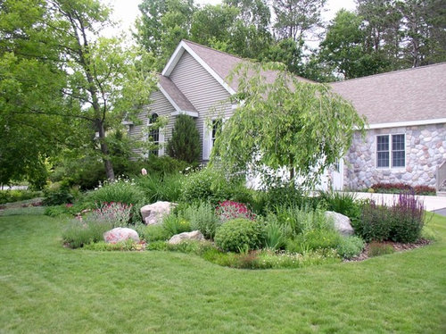 Small Tree for Full Sun in Zone 4